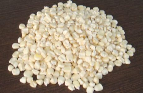 Corn – Prime Rice